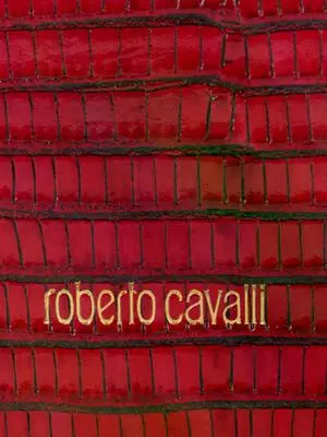 Roberto Cavalli Medium Snake-embellished Top-handle Crossbody Bag - Red