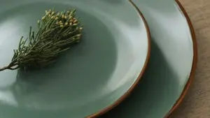 STONE + LAIN Brasa Stoneware 16-piece Dinnerware Set - Green