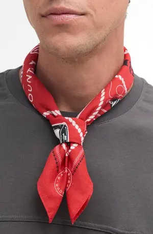 Barbour Heritage Print Cotton Bandana Scarf - Red