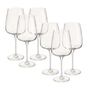 ZSA ZSA ZSU Poznan Glass White Wine Glass 16 Oz Transparent Set Of 6 - Clear