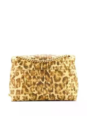 Celine Victoire Flap Printed Triomphe Coated Canvas Medium Shoulder Bag