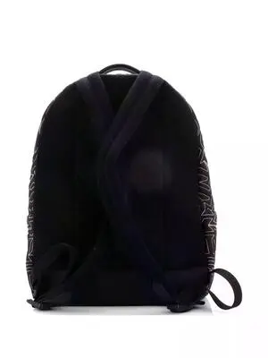 LOUIS VUITTON Multi-pocket Snow Capsule Backpack