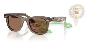 Ray-ban Sunglasses Transparent Brun