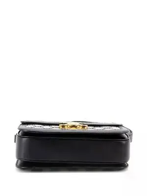 Celine Triomphe Canvas Medium Shoulder Bag