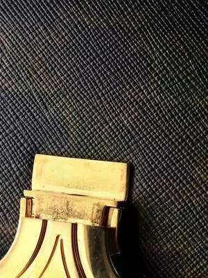 Celine Triomphe Coated Canvas Medium Shoulder Bag