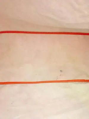 Goyard 2014 Saint Louis Pm Tote Bag - Orange