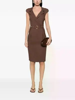Pinko Amadine Belted Midi Dress - Brown