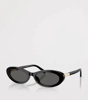 Tiffany & Co. Acetate Oval Sunglasses
