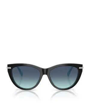 Tiffany & Co. Acetate Cat Eye Tf4253 Sunglasses - Black
