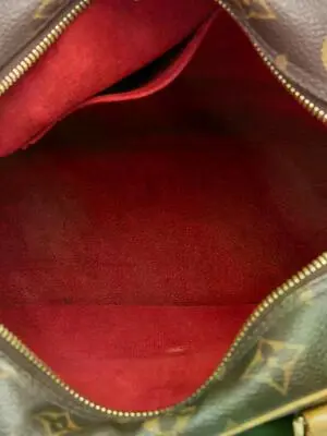 LOUIS VUITTON 2003 Monogram Excentri Cite Handbag