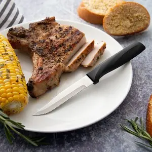 RADA Cutlery 3.875-inch Serrated Steak Knife Anthem Wave Handle