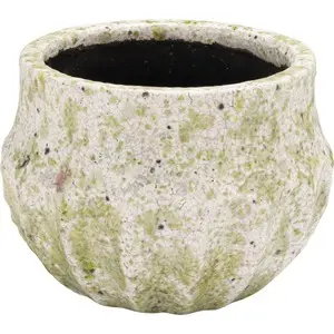 STORIED HOME Planter With Crackle Glaze