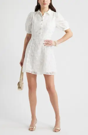 Chelsea28 Floral Embroidered Puff Sleeve Mini Dress - Ivory Cloud
