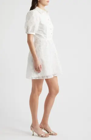 Chelsea28 Floral Embroidered Puff Sleeve Mini Dress - Ivory Cloud