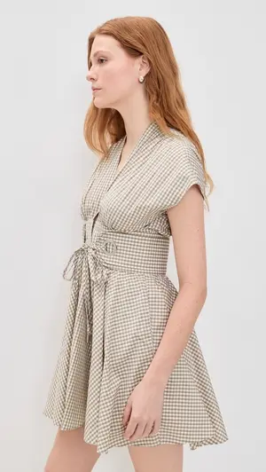 Alexis Alizee Gingham Mini Dress