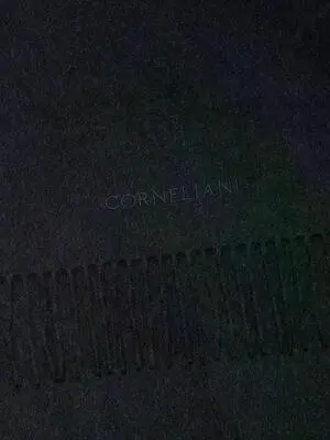 Corneliani Fringed Scarf