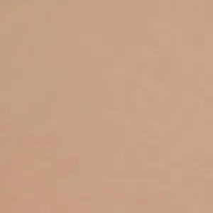 Alexander McQueen T-bar Rivet Panthos Sunglasses - Brown