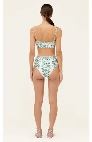 Agua Bendita Ceiba Bikini Bottom