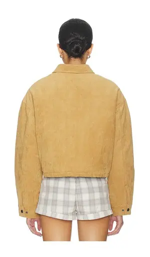 Lioness Serrano Bomber