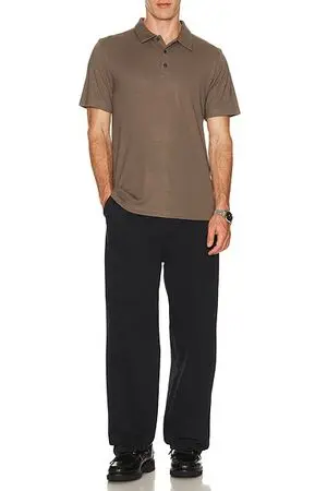 Theory Bron Polo - Morel