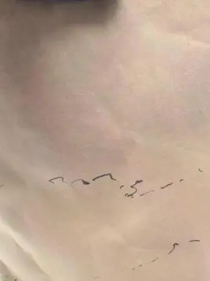 Dior Large Oblique Toujours Tote Bag