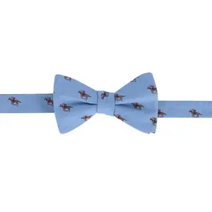 Trafalgar Racehorse Linen Blend Suspenders And Bow Tie Set