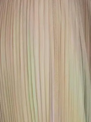 Max Mara Pleated Skirt With Layered Hem