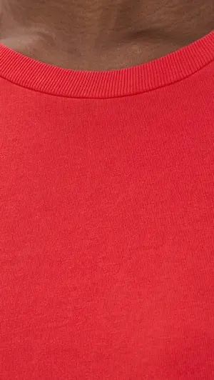 AGOLDE Adine Tee - Carnival