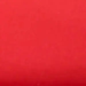 Amina Muaddi Holli Slingback 95 Pumps - Red