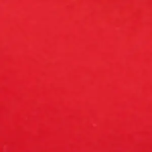 Amina Muaddi Elodie 105 Heeled Mules - Red
