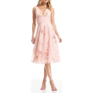 Dress The Population Posie Sleeveless Fit & Flare Cocktail Dress - Blush Multi