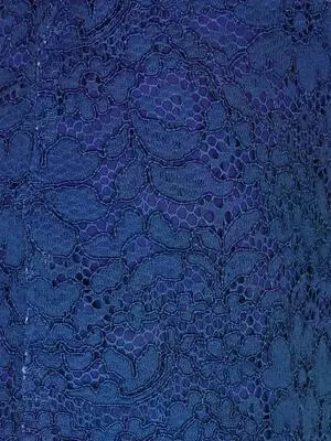 GIANLUCA CAPANNOLO Lace-trim Skirt - Blue