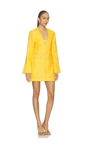 Alexis Eulia Dress