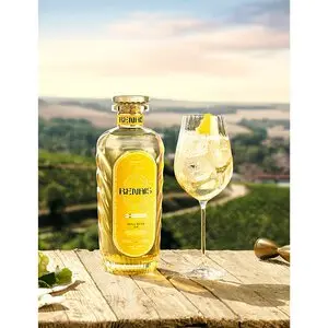 RENAIS Small-batch Gin