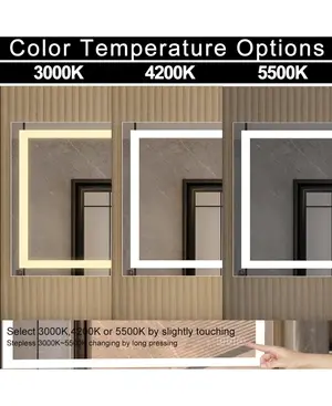 HAUSCHEN HOME 24 X 40 Inch Led Lighted Bathroom Mirror