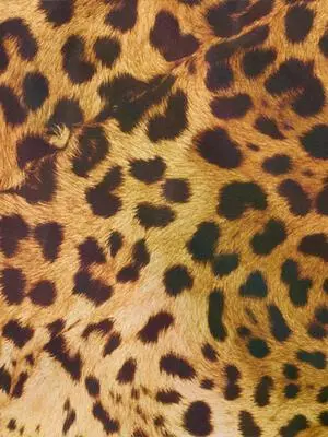 Roberto Cavalli Leopard-print Swim Shorts