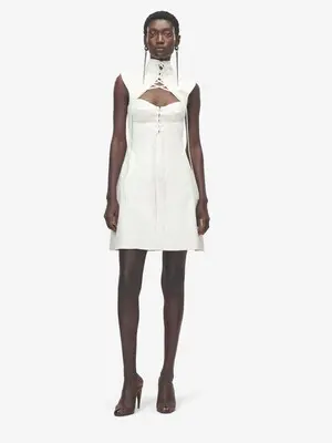 Alexander McQueen Cut-out Corset Mini Dress