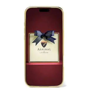 ASPINAL OF LONDON Leather Iphone 17 Pro Case - Brown