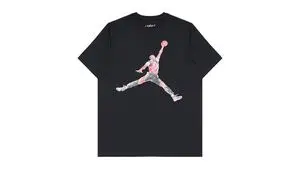 JORDAN Brand Tee Shirt - Black