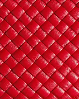 Bottega Veneta Soft Knot Intrecciato Box Clutch - Cardinal/muse Brass