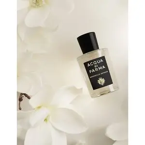 ACQUA DI PARMA Magnolia Infinita Eau De Parfum