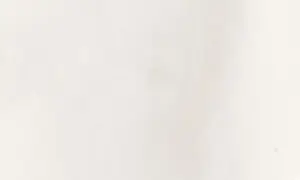 WAYF Katarina Eyelet Embroidered Cotton Mini Dress
