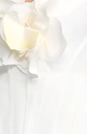 Acler Bankson Floral Appliqué Gown