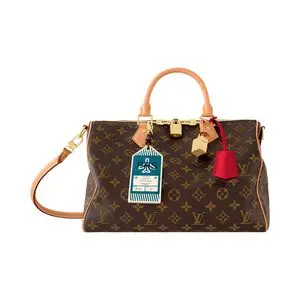 LOUIS VUITTON Speedy Soft 30