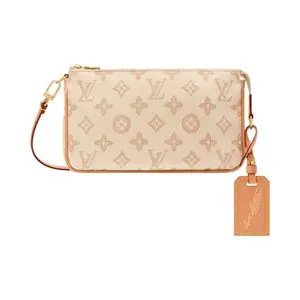 LOUIS VUITTON Pochette Accessoires - Tan