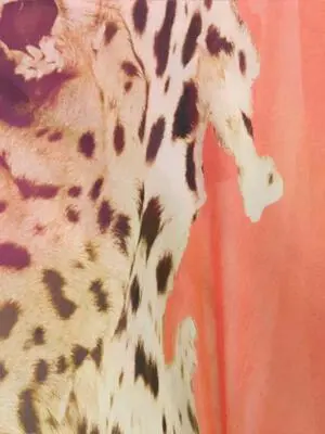 Roberto Cavalli Leopard Print Beachwear