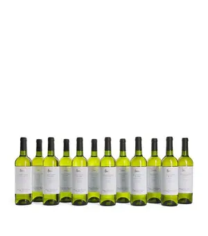 Harrods Sauvignon Blanc Wine Case
