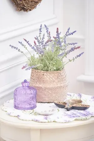 GALLERIE II Lavender Decorative Glass Keepsake Container Box 4.33