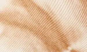 DOIY Assorted 2-pack Chocolate Smoothie Socks