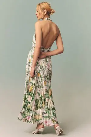 Bhldn Printed Halter Maxi Dress